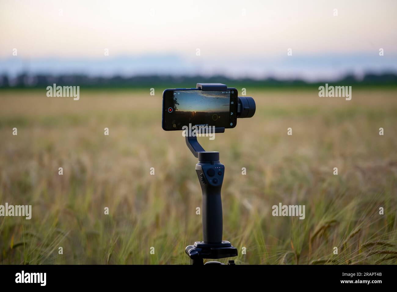 Videographer steadicam hi-res stock photography and images - Alamy