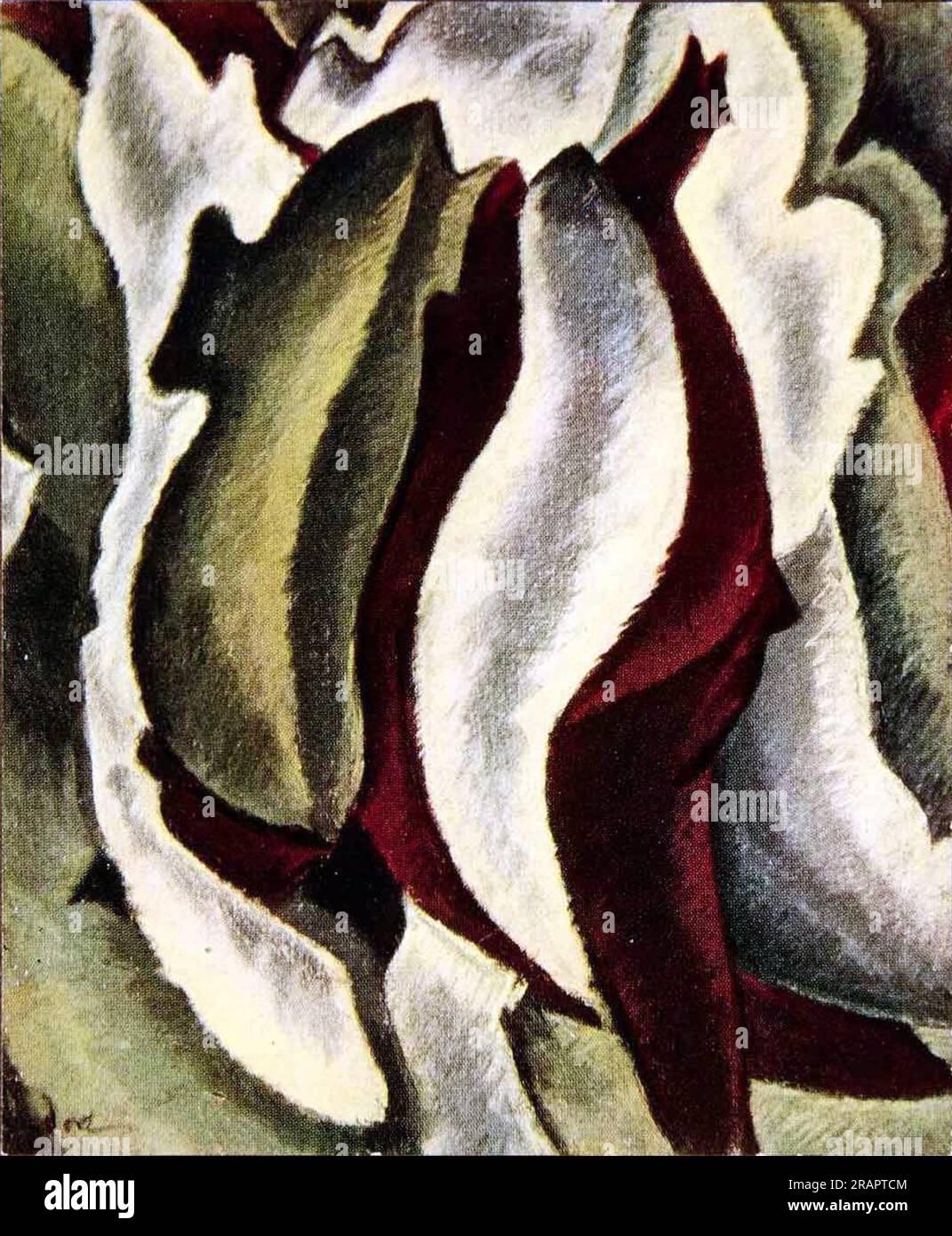 Based on leaf forms and spaces hi-res stock photography and images - Alamy