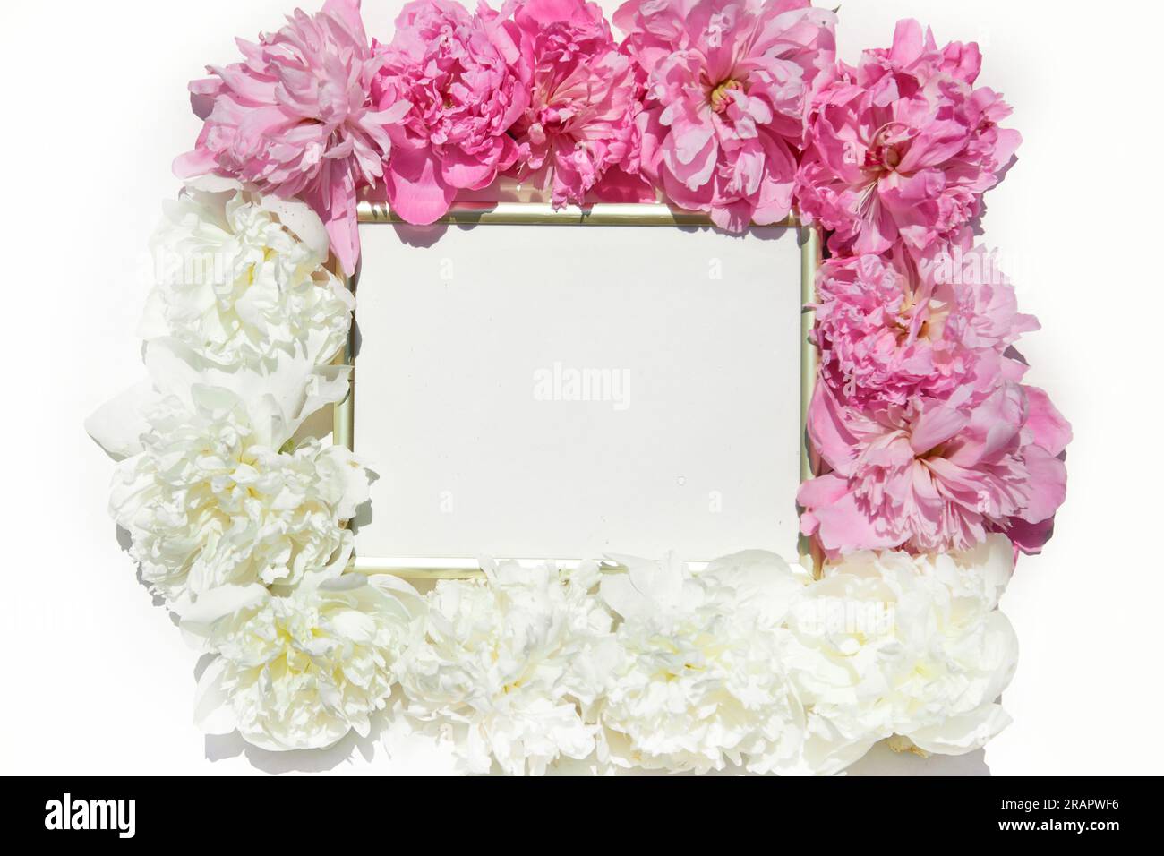 Pion frame hi-res stock photography and images - Alamy