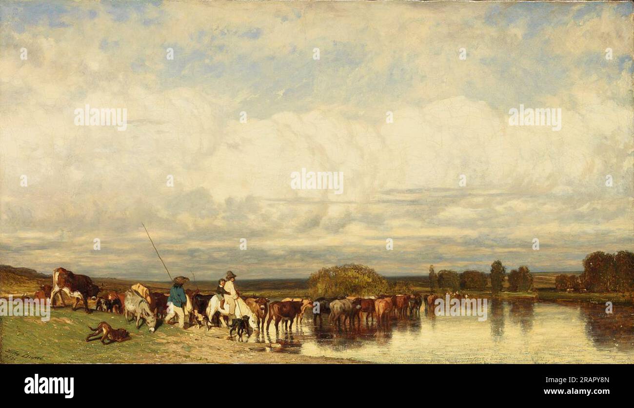 Cows crossing a ford hi-res stock photography and images - Alamy
