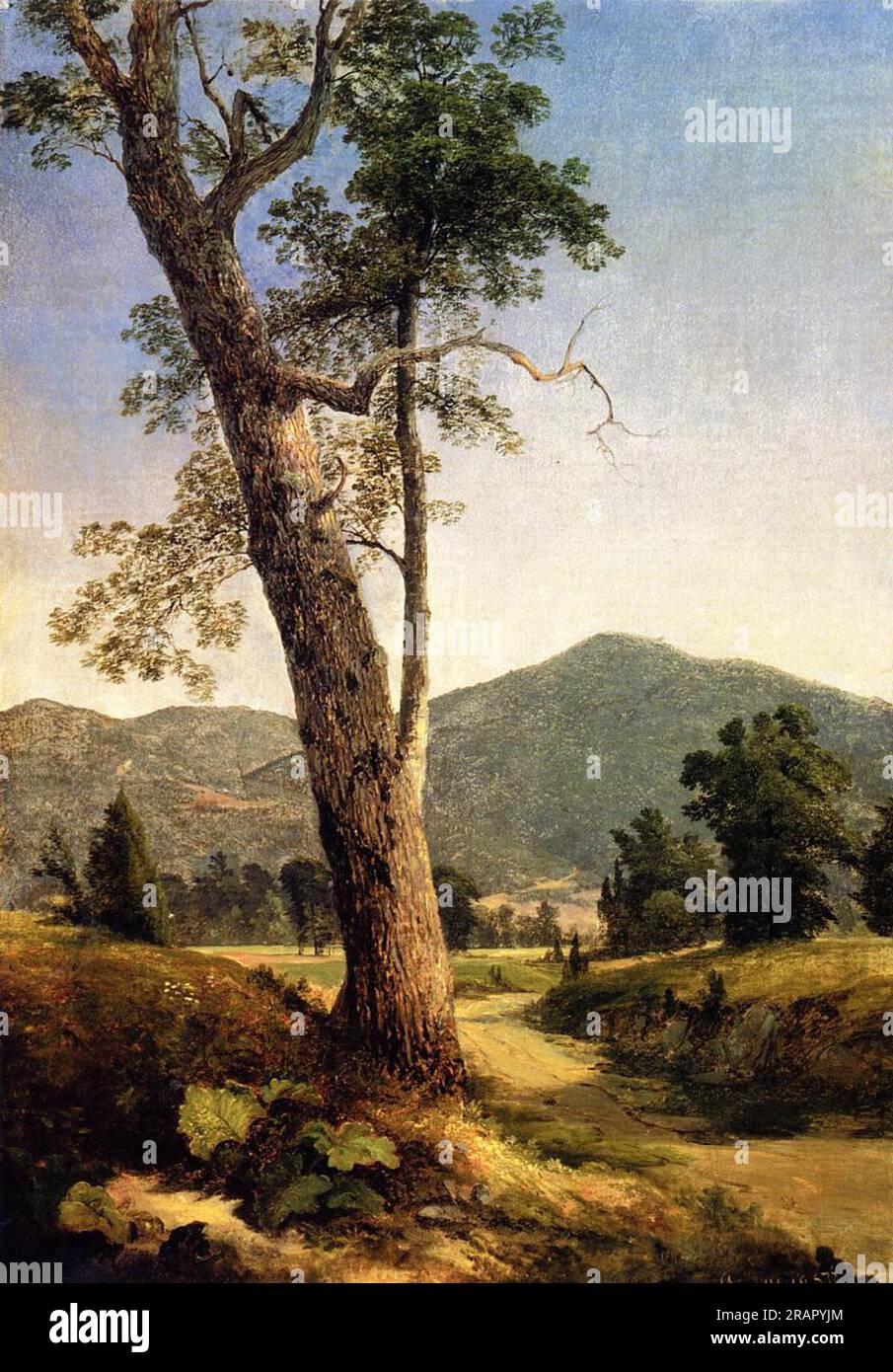 Landscape Beyond the Tree by Asher Brown Durand Stock Photo - Alamy