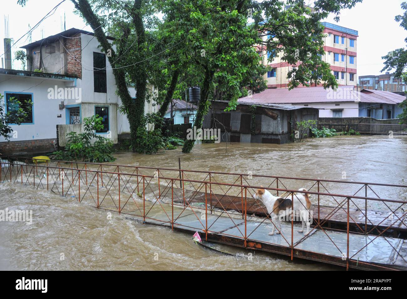A submerged steel bridge over a big canal during the heavy rainfall ...