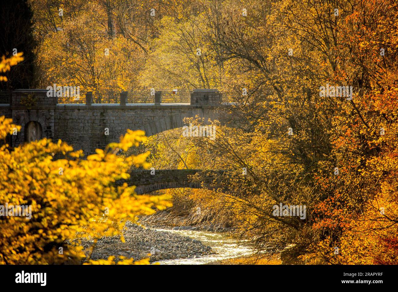 Val di cervo hi-res stock photography and images - Alamy