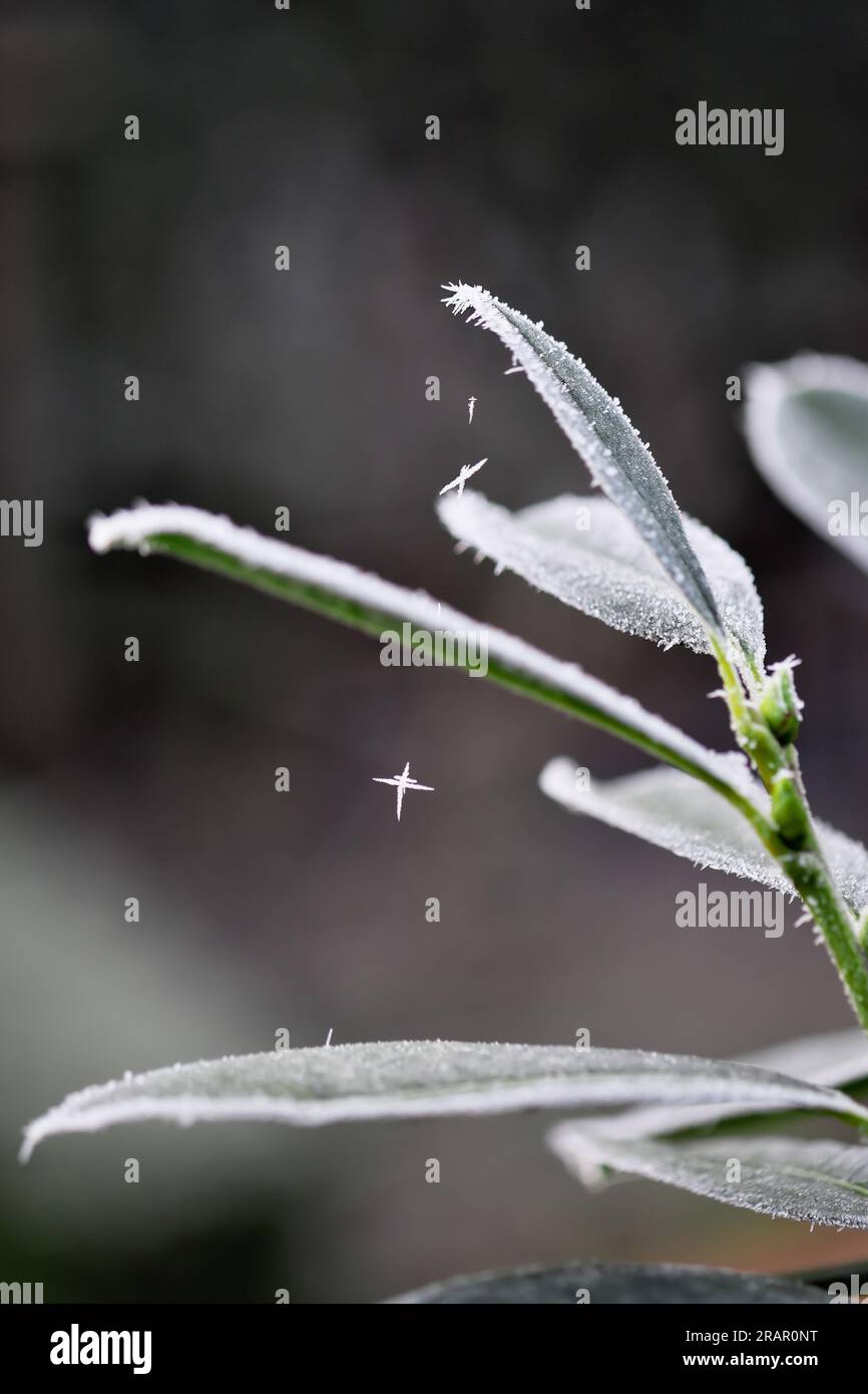 Falling crystals hi-res stock photography and images - Alamy