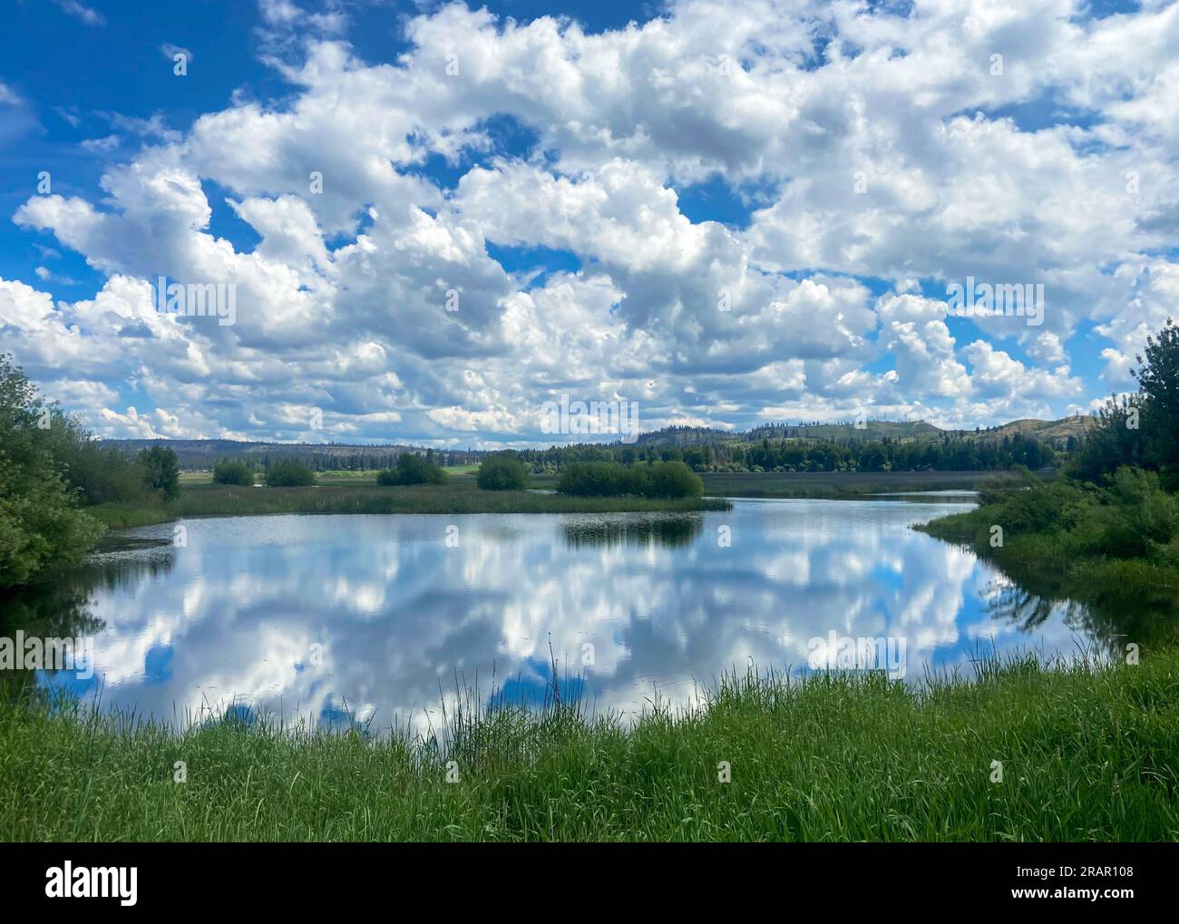 Fluffy clouds reflected in a pond in the protected wetlands of Oregon ...