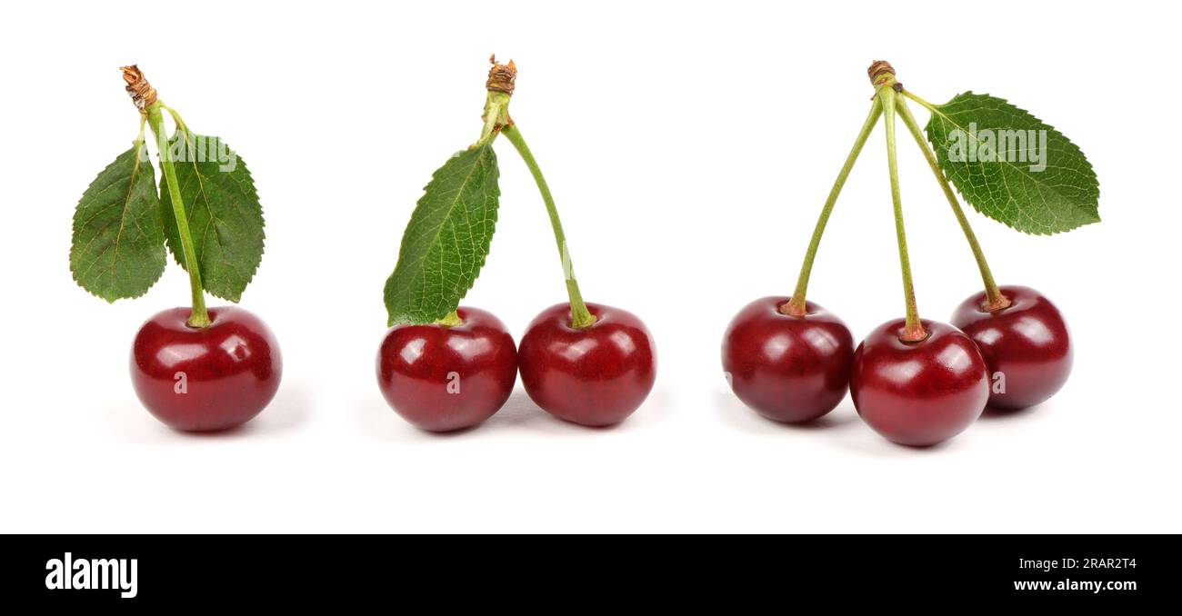 Collection of cherries with green leaf isolated on white background ...