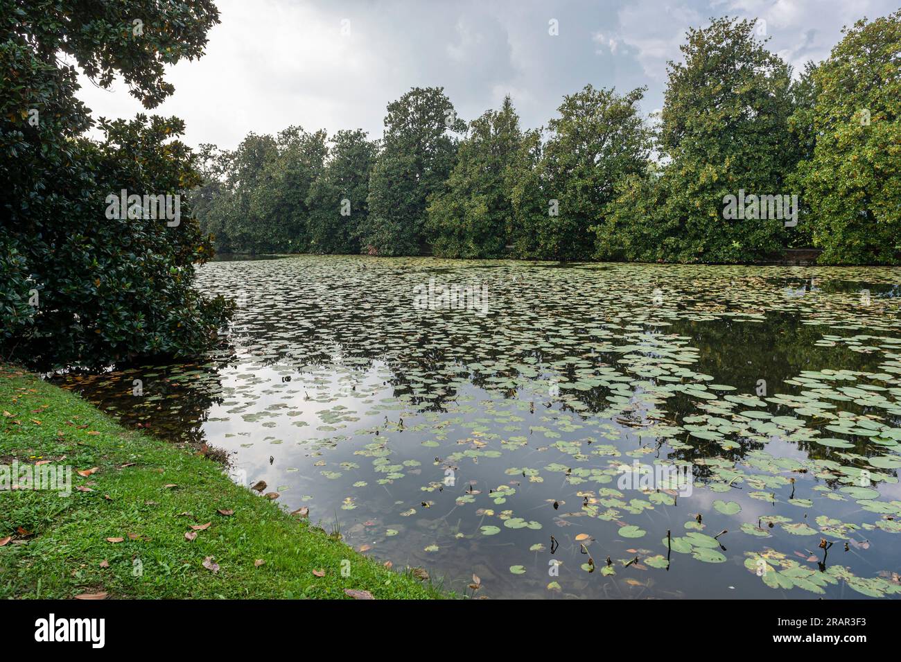 pond in the park of the catajo castle, battaglia terme, italy Stock ...