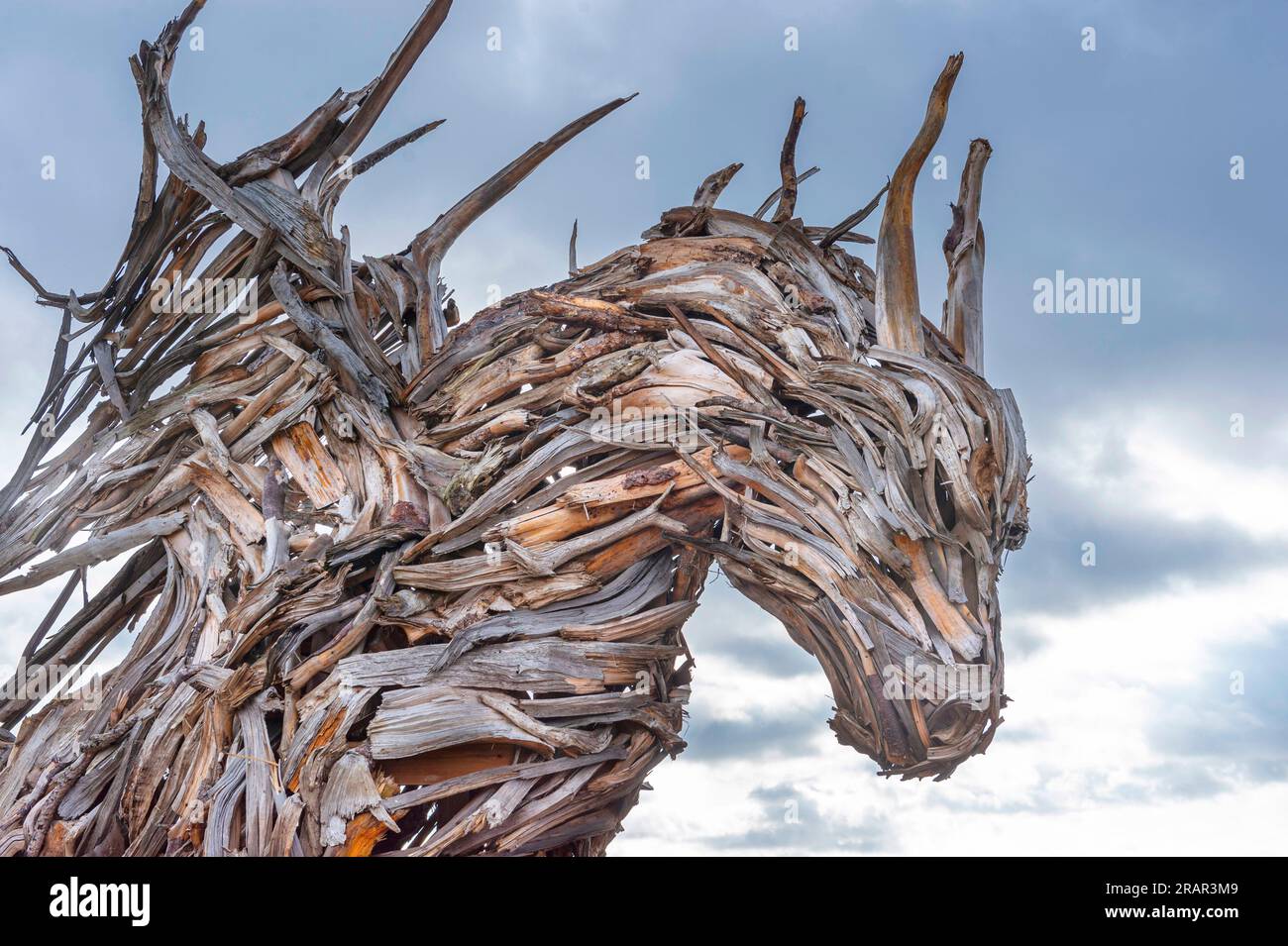 Vaia dragon hi-res stock photography and images - Alamy