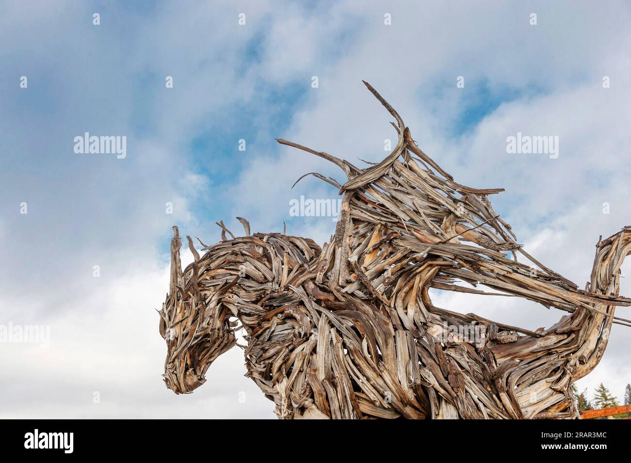 Vaia dragón hi-res stock photography and images - Alamy
