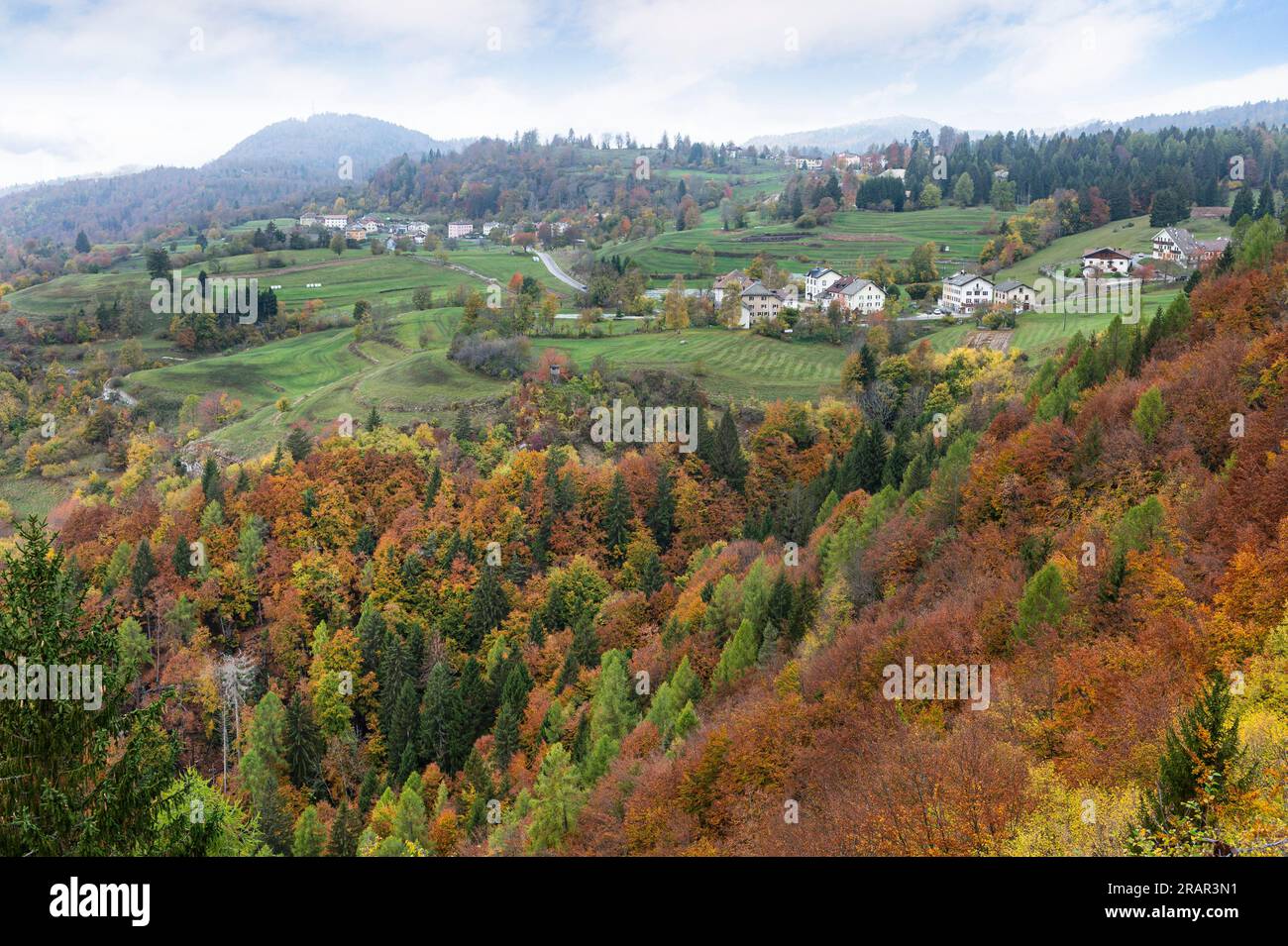 Oseli hi-res stock photography and images - Alamy
