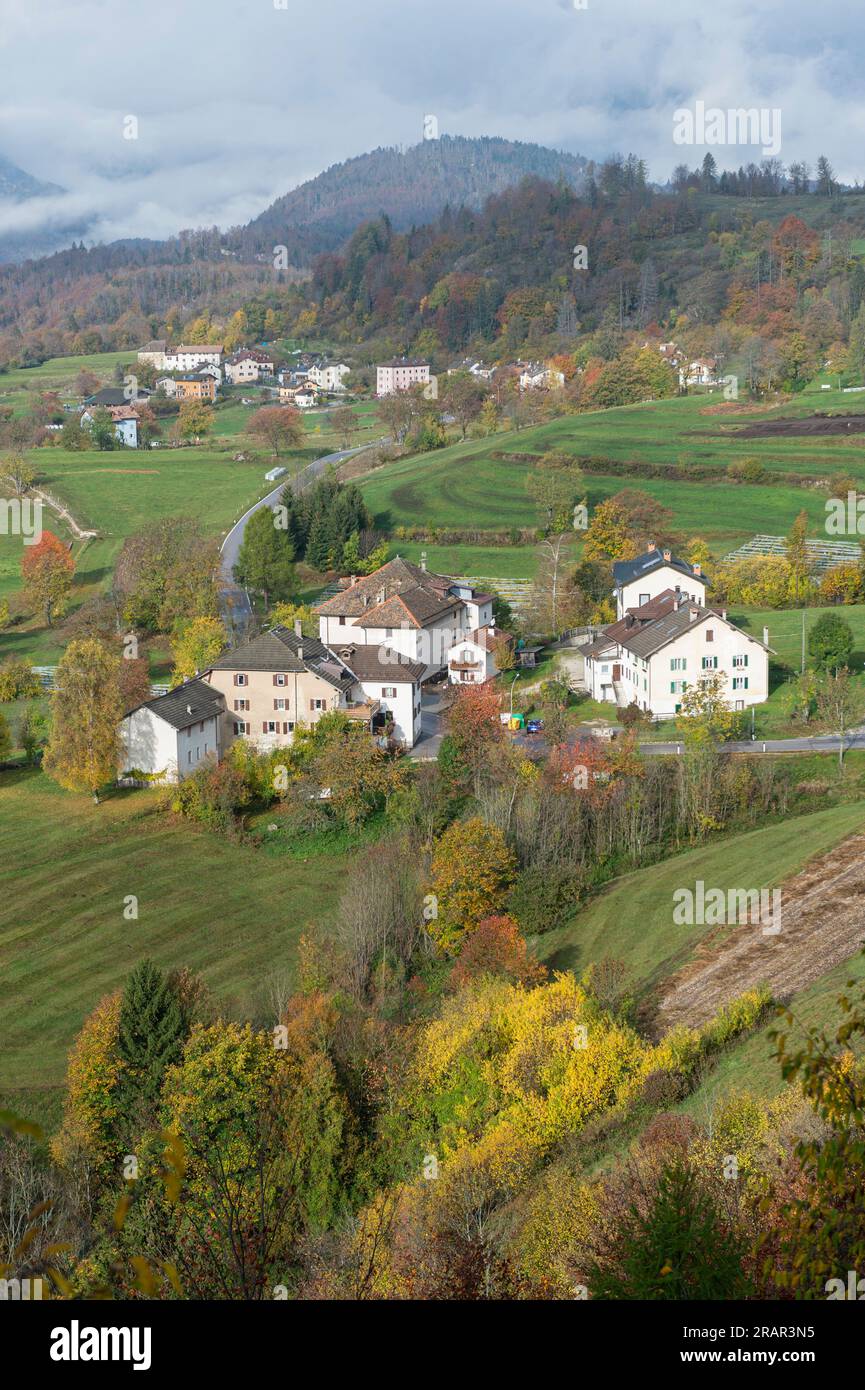 Oseli hi-res stock photography and images - Alamy