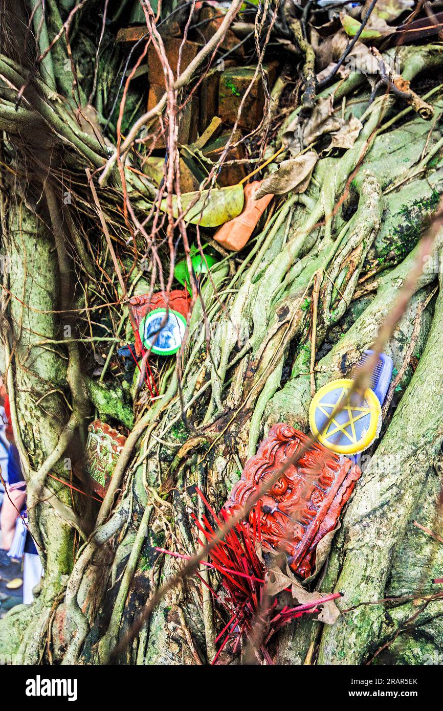 Hue tree and shrine hi-res stock photography and images - Alamy