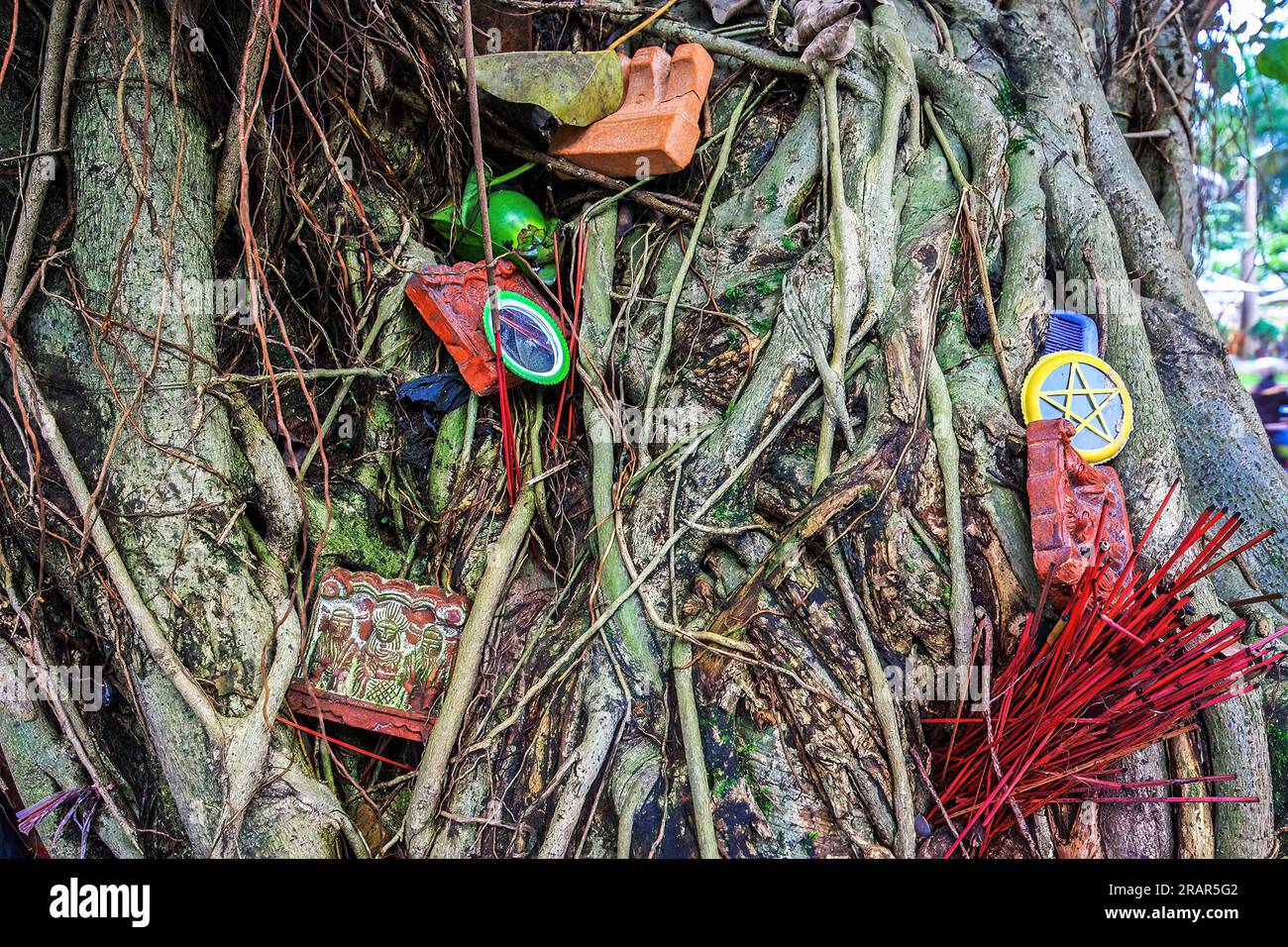 Hue tree and shrine hi-res stock photography and images - Alamy