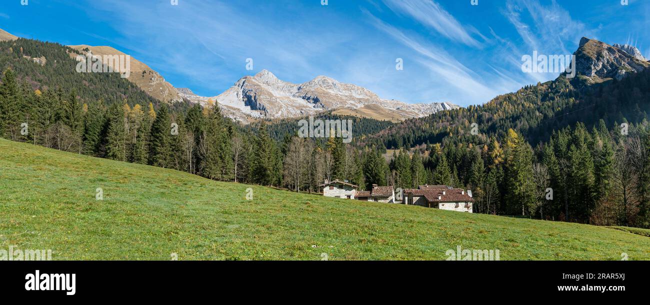 Moschel hi-res stock photography and images - Alamy
