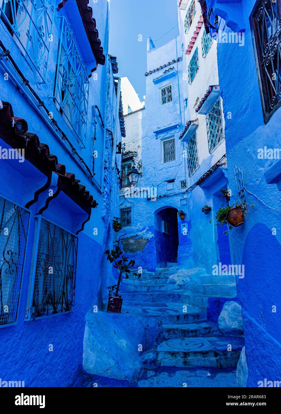 A stunning blue building stands tall and proud, a monumental example of ...