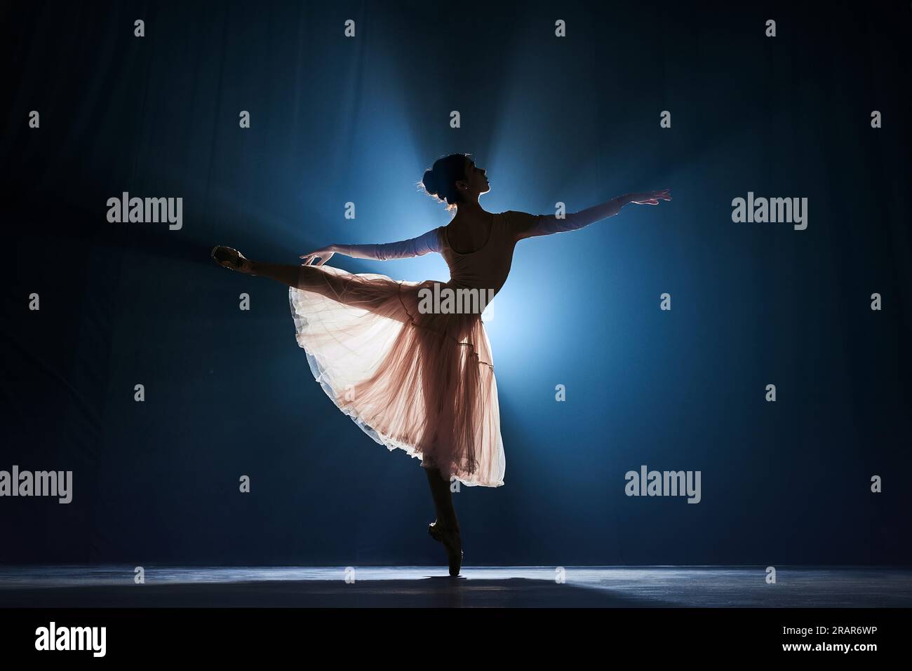Elegant, tender, slim, talented girl, female ballet dancing dancing ...