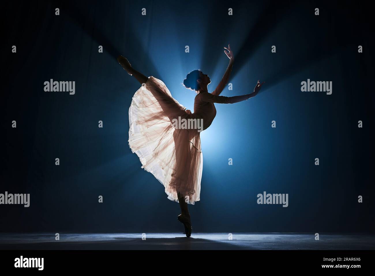 Elegant, tender, slim, talented girl, female ballet dancing dancing ...