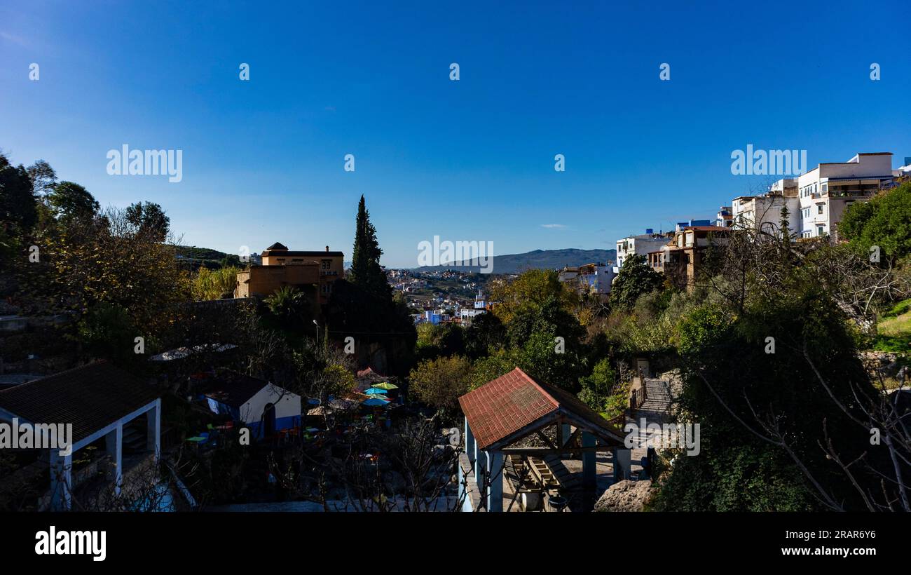 Captivating cityscape with skyline, nature, and stunning architecture ...