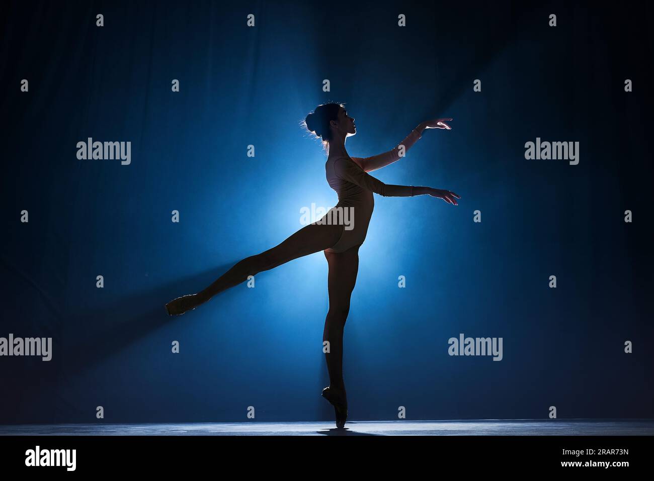 Silhouette of tender, elegant, talented woman, ballet dancer performing ...