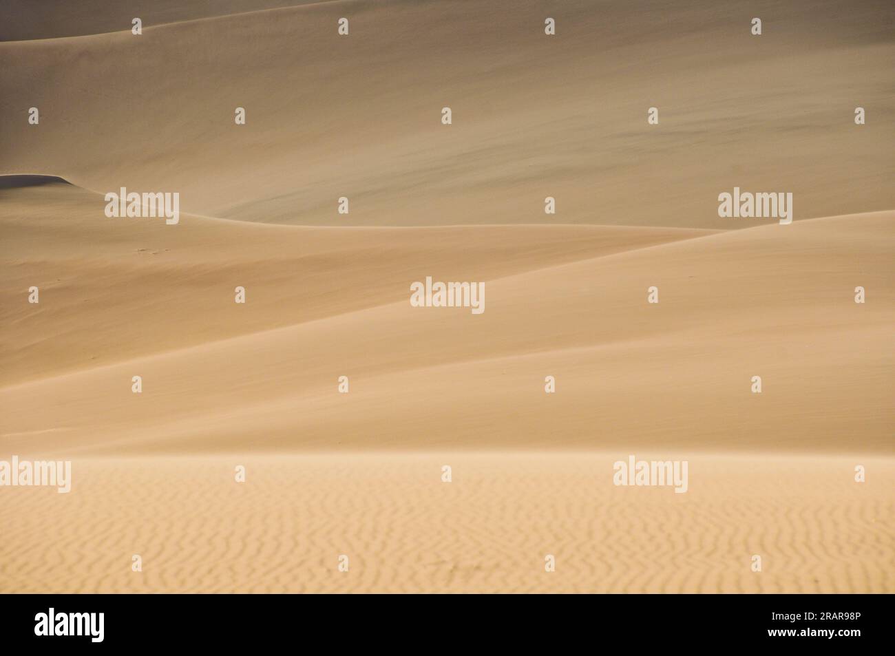 Ripple bedforms in sand created by strong winds at Great Sand Dunes ...