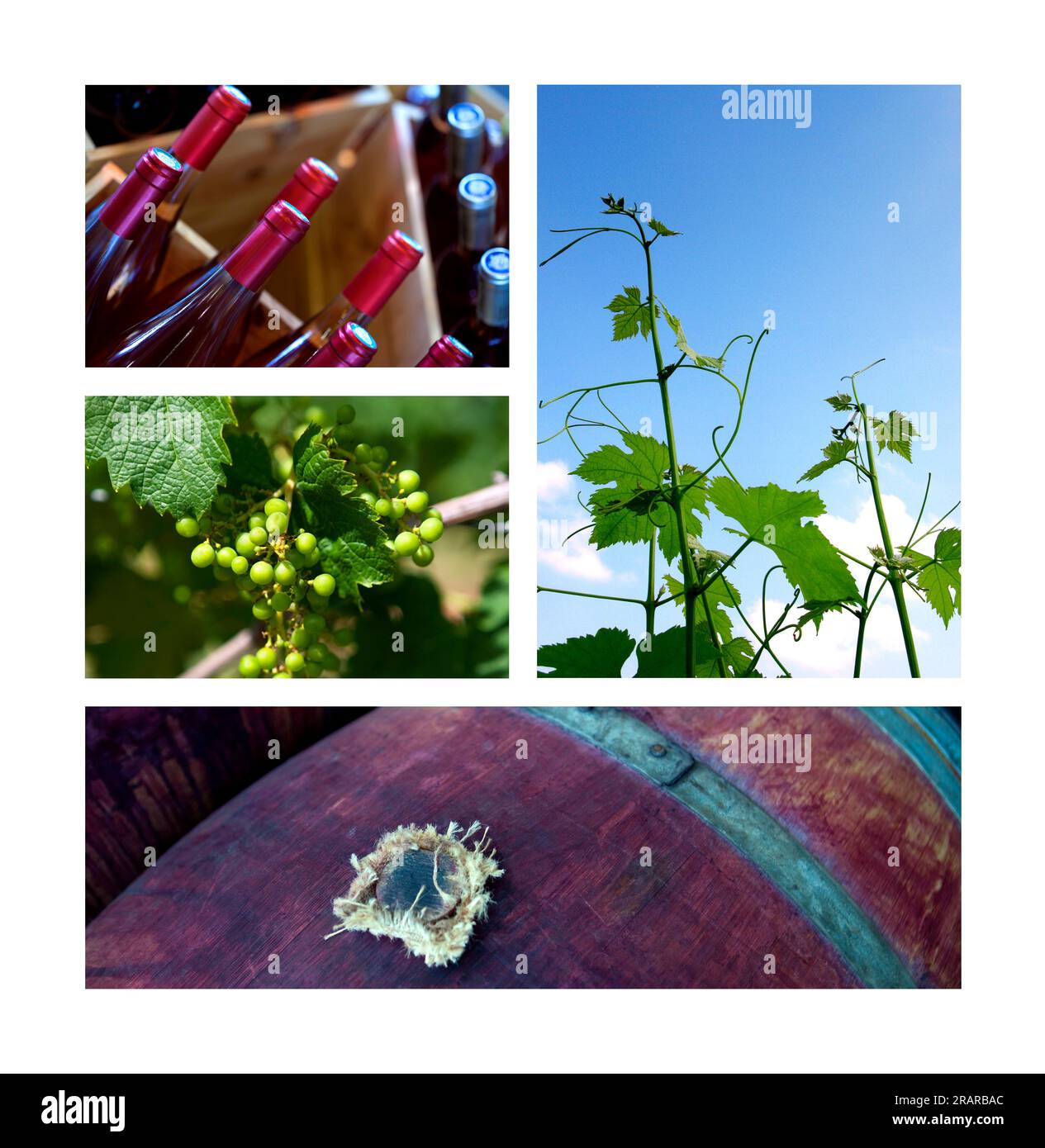 Collage of vines and wines images Stock Photo - Alamy