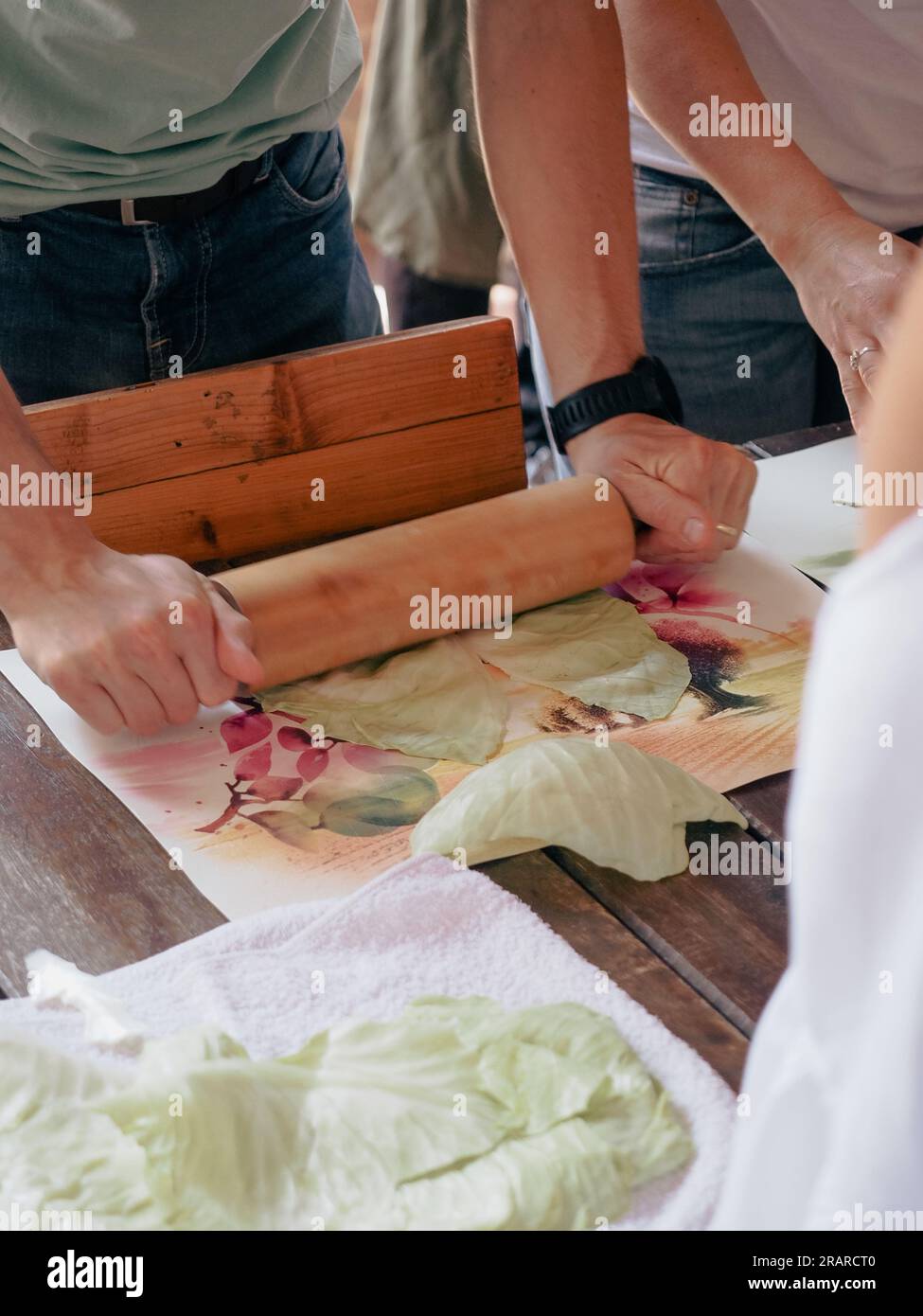 woman cutting and kneading cabbage leaves to make a compress to lower ...