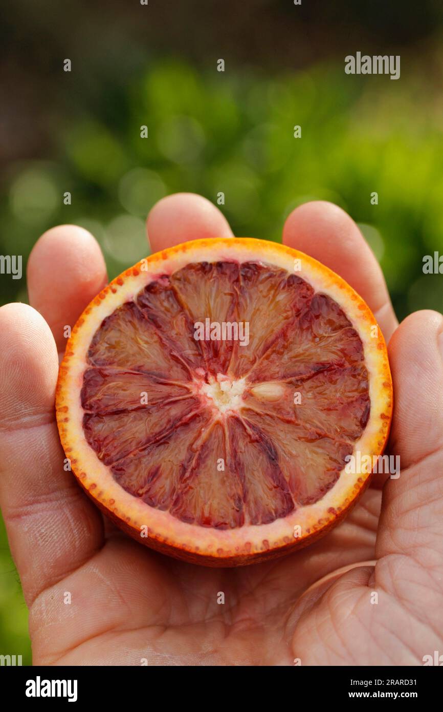 Orange fruit drink hi-res stock photography and images - Alamy