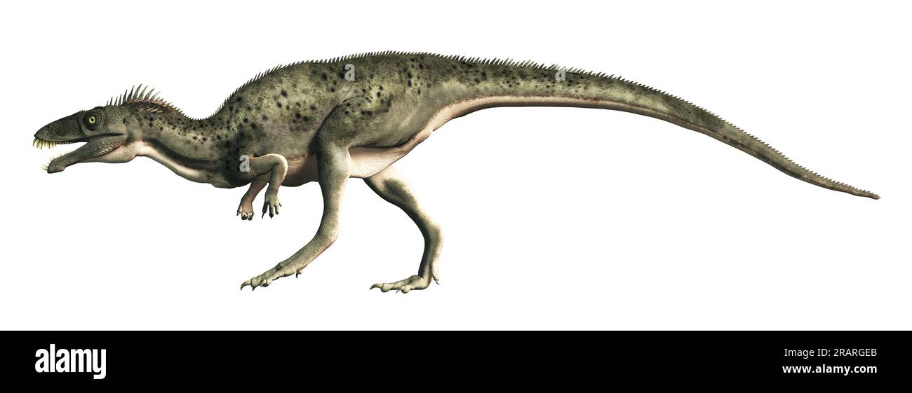 Masiakasaurus, a medium sized theropod of Cretaceous era Madagascar ...