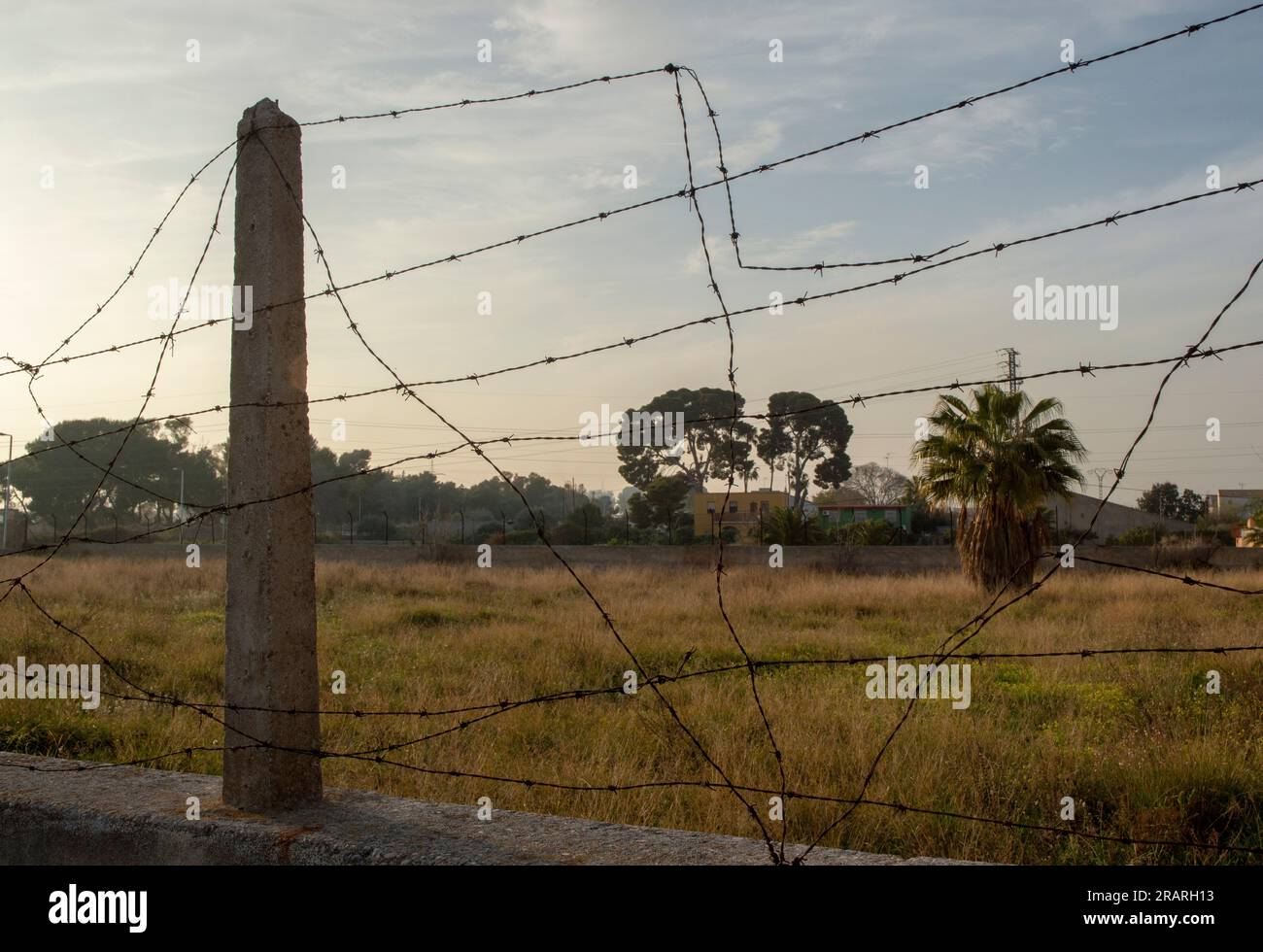 hawthorn fencing to delimit land portions Stock Photo - Alamy