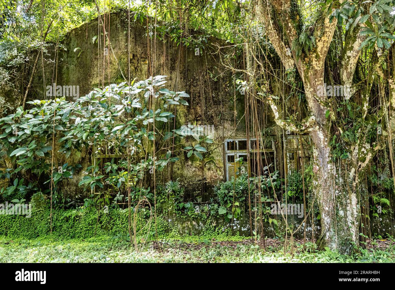 Trail to Dois Rios beach on Ilha Grande, Angra dos Reis, Rio de Janeiro ...
