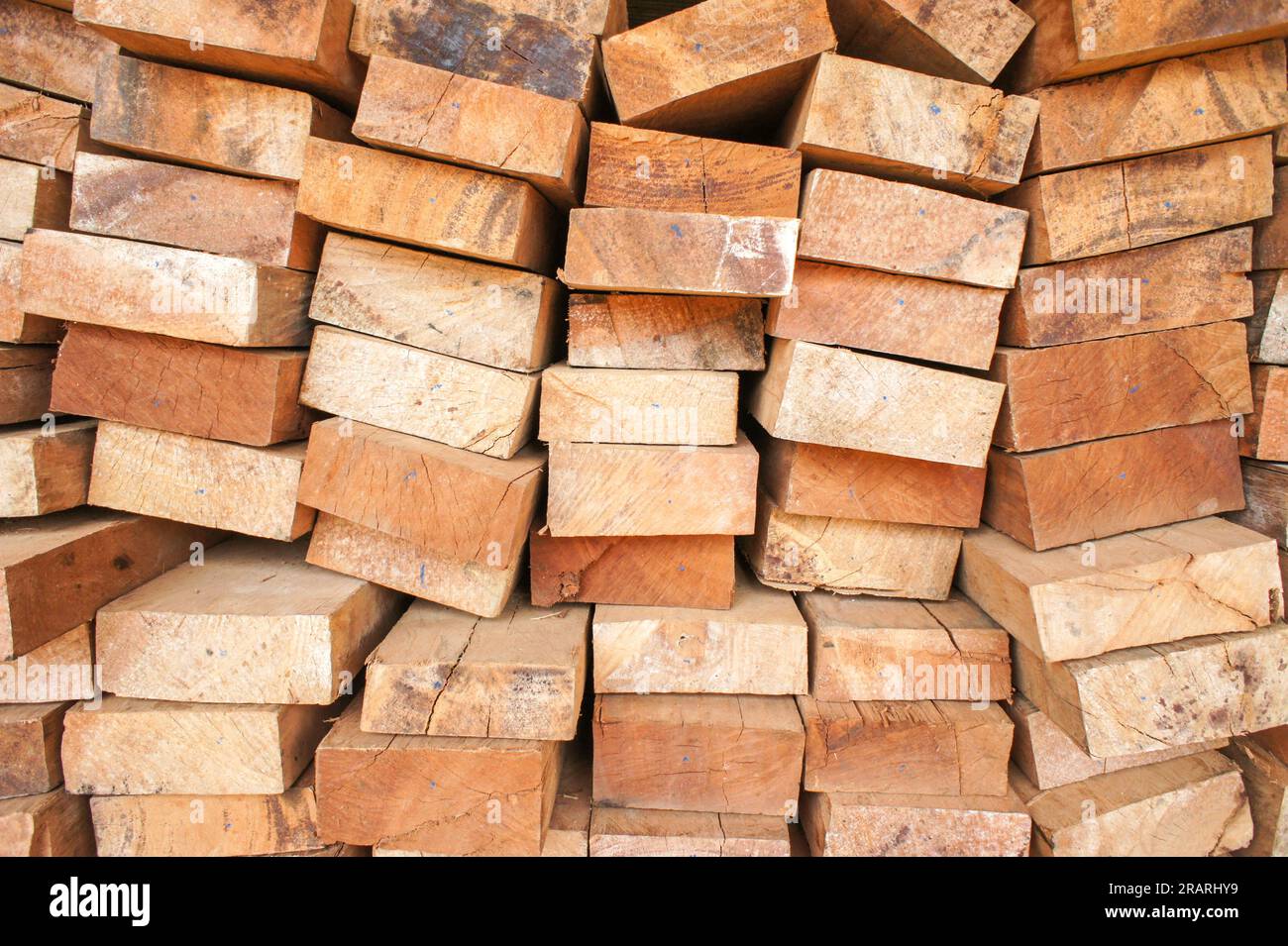 Stacking of processed wood logs in daytime Stock Photo - Alamy