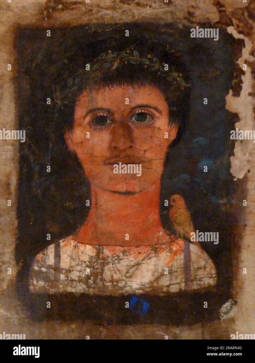 Mummy Portrait of a Young Man 250 by Fayum portrait Stock Photo - Alamy