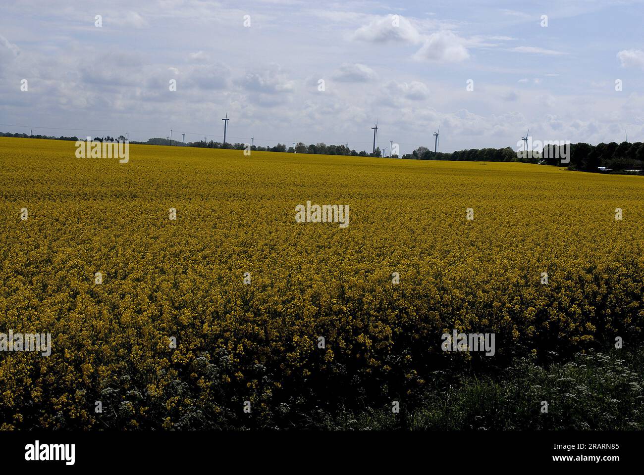 German farms May 31,2006 (Photo by Francis Joseph Dean/Dean Pictures ...