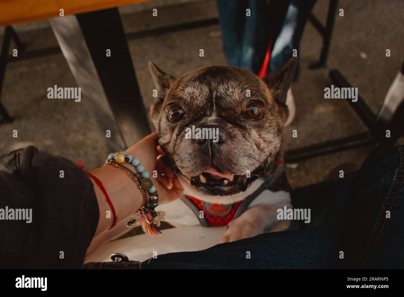 Cute concept hi-res stock photography and images - Alamy