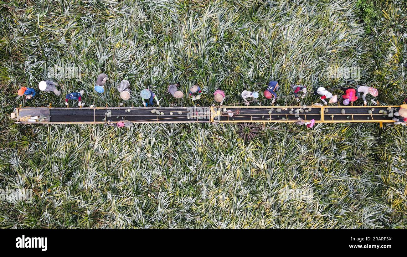 Lampung. 5th July, 2023. This aerial photo taken on July 5, 2023 shows ...