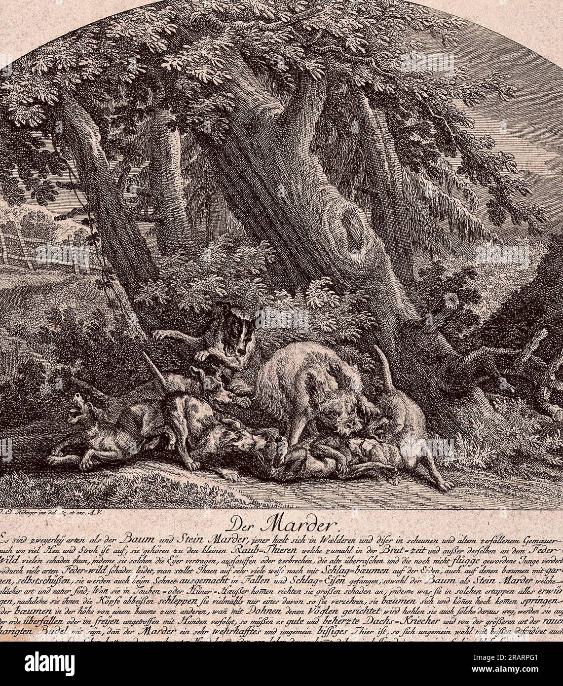 Death of a dog hi-res stock photography and images - Alamy