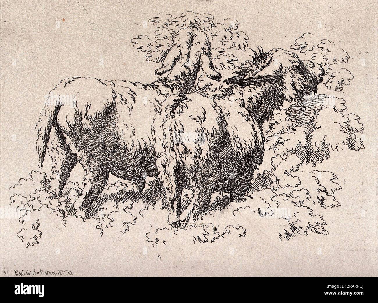 English hills etching hi-res stock photography and images - Alamy