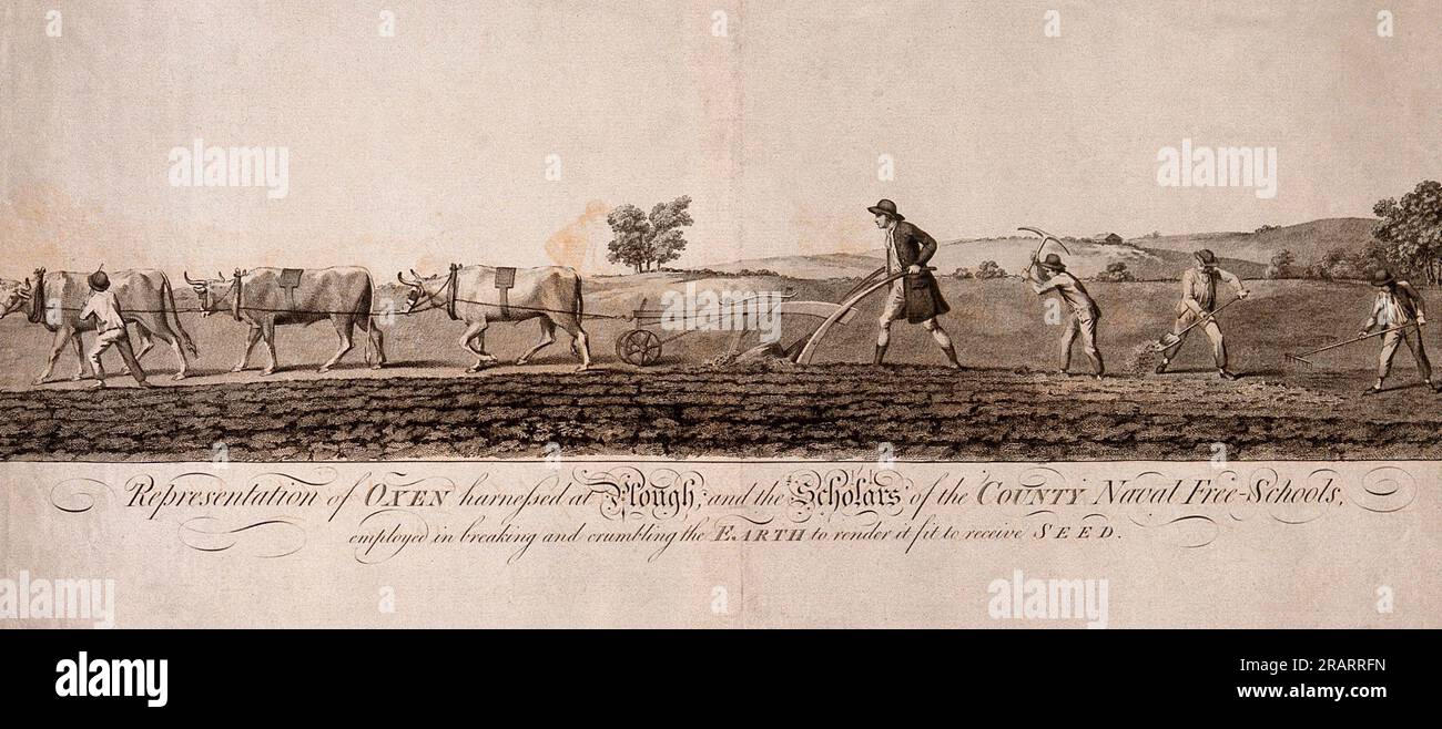 Variously hi-res stock photography and images - Alamy