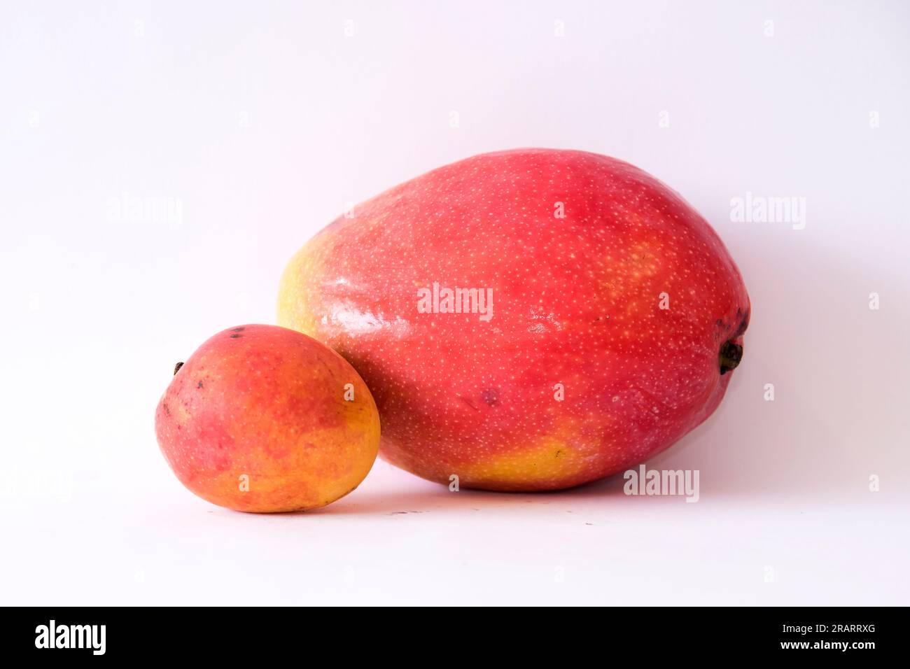 Colombian delicious fruit, mango Stock Photo - Alamy