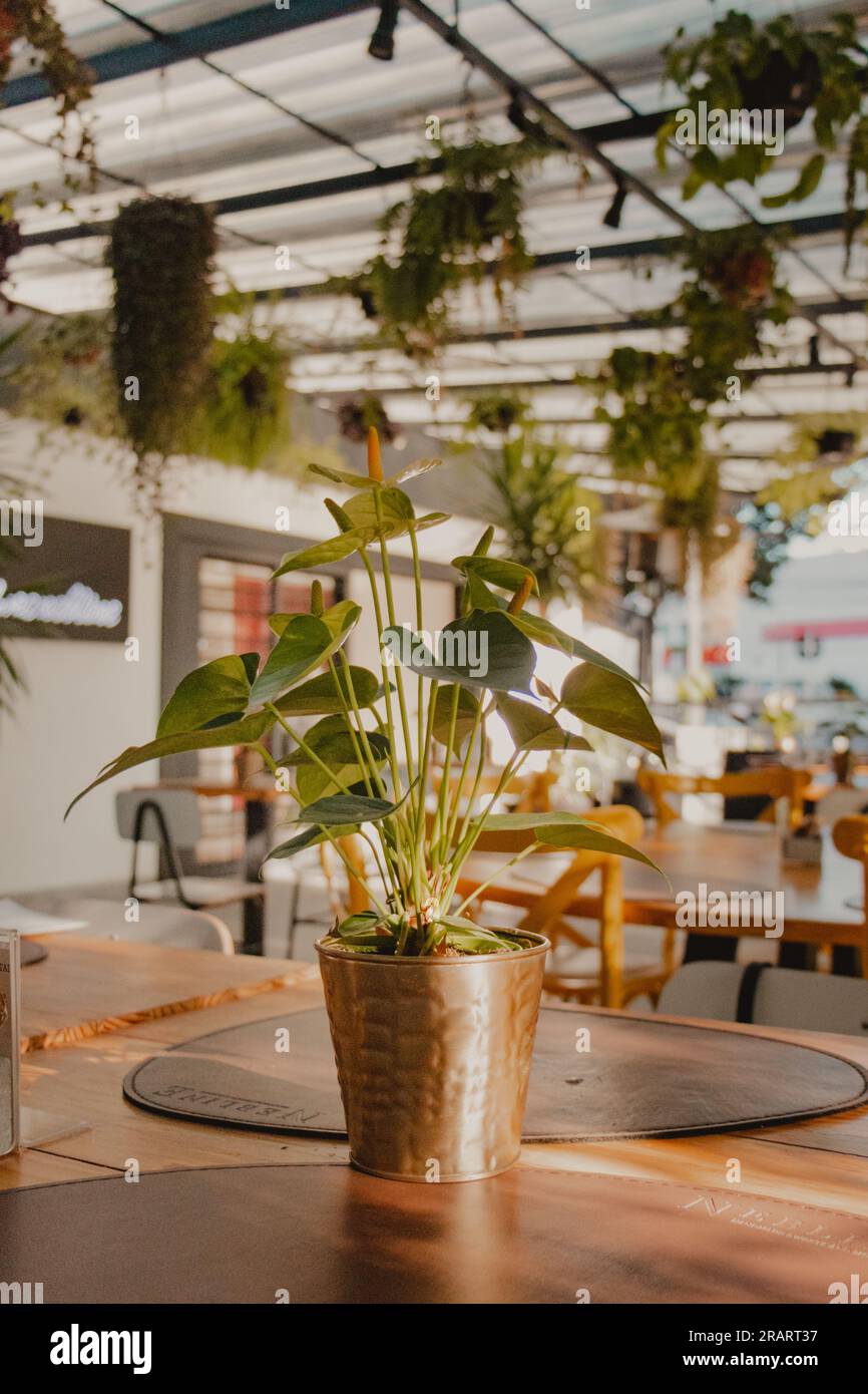 Cafe style lunch hi-res stock photography and images - Alamy