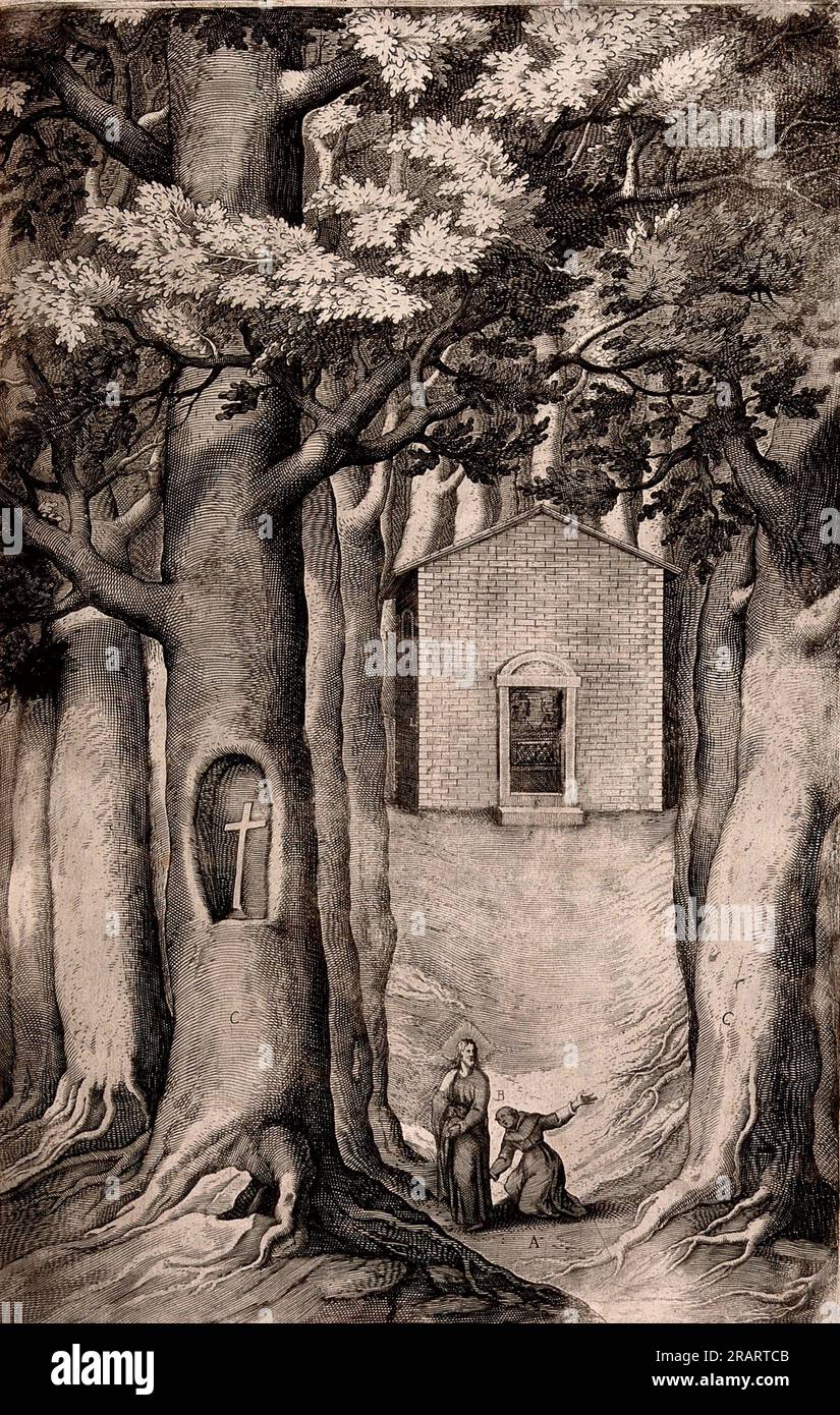 St francis of assisi beech tree hi-res stock photography and images - Alamy