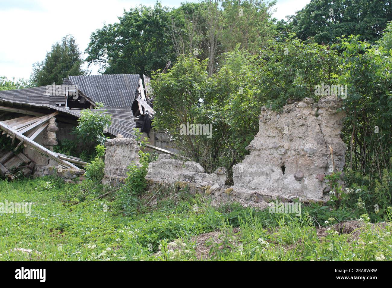Abandoned stone farmhouse with collapsed roof in Sece, Latvia Stock Photo - Alamy