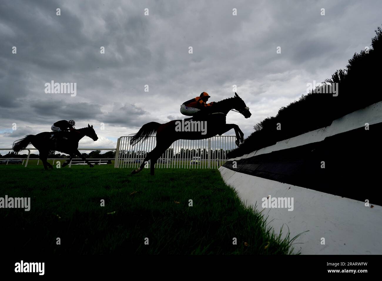 Court master horse hi-res stock photography and images - Alamy