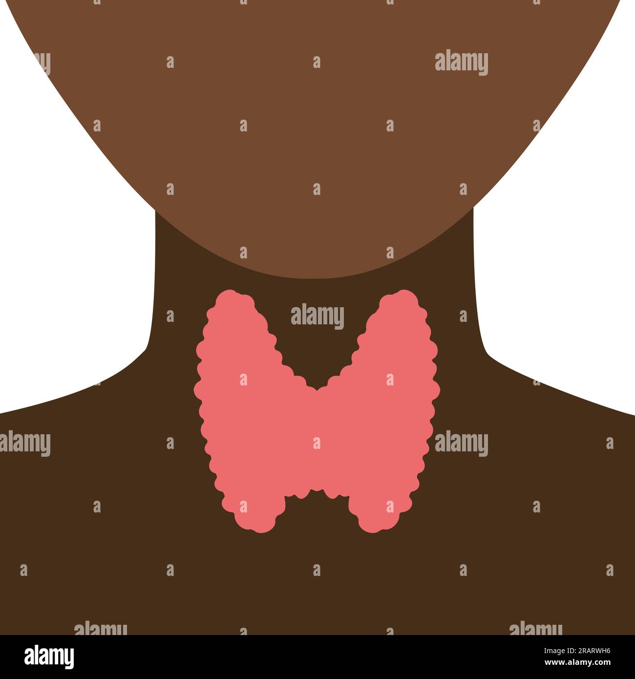 Healthy thyroid gland on black neck silhouette icon Stock Vector Image ...
