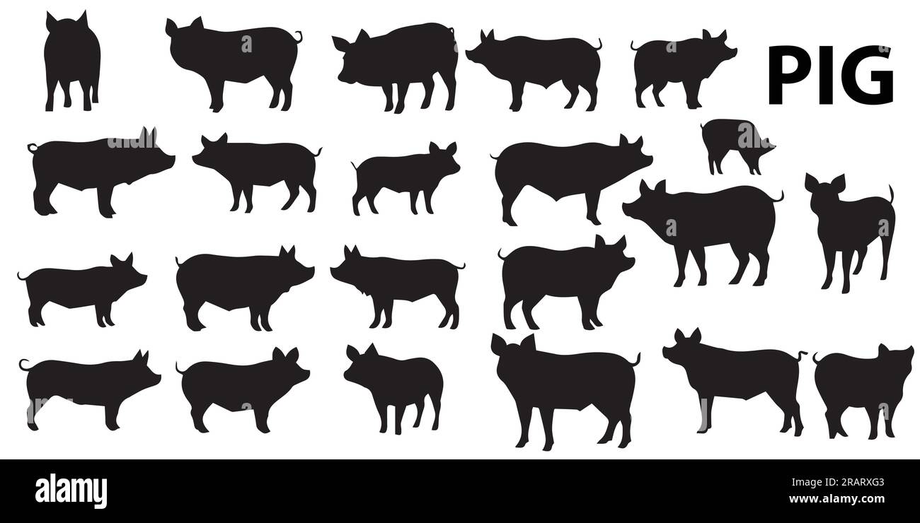 Pig Outline Vector