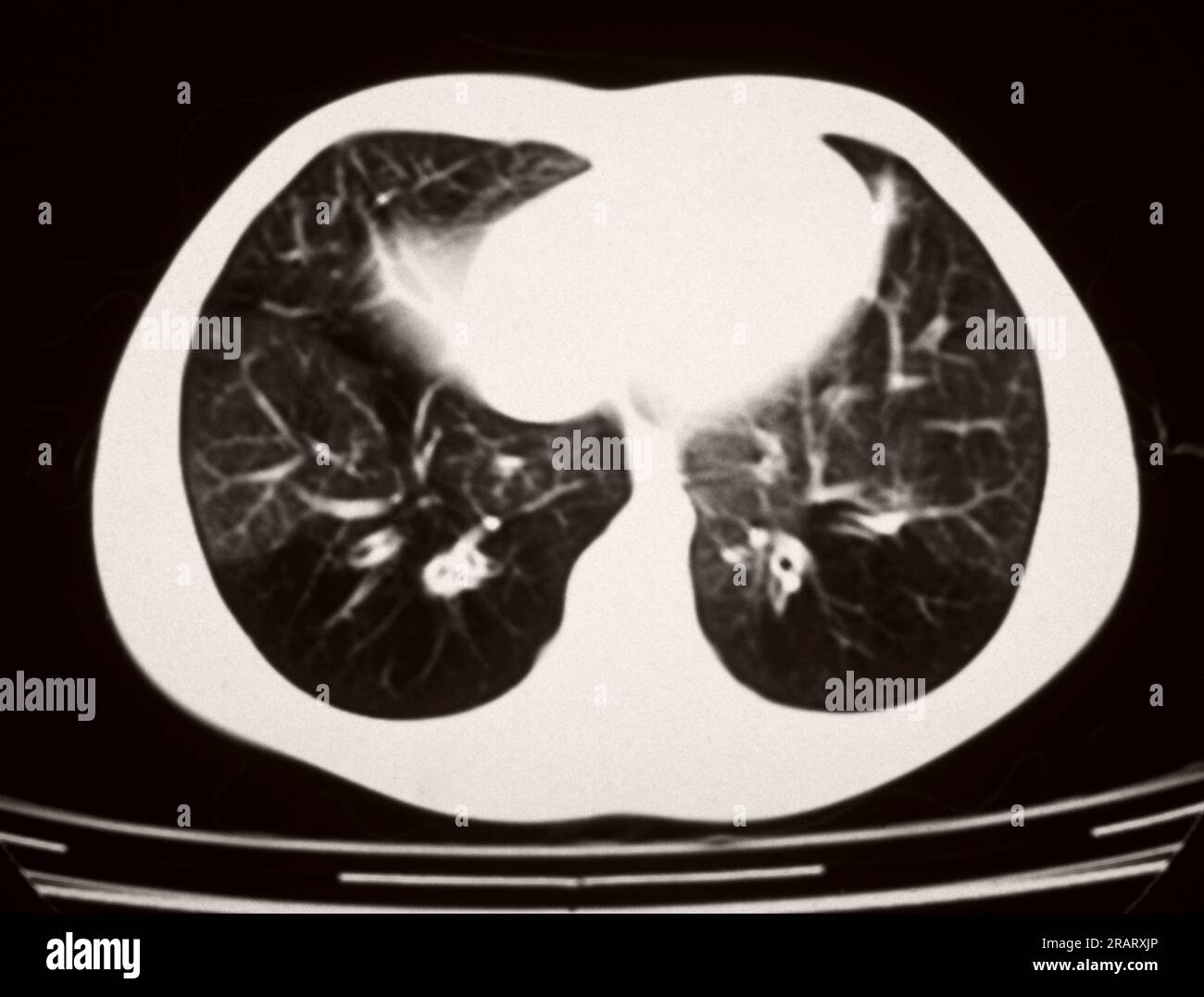 Trap description hi-res stock photography and images - Alamy