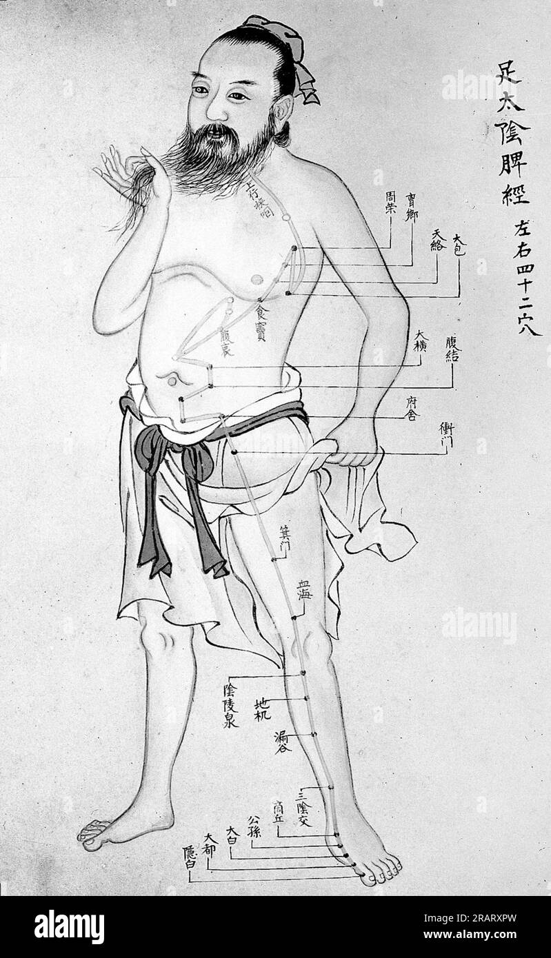 Acupuncture meridians Black and White Stock Photos & Images - Alamy
