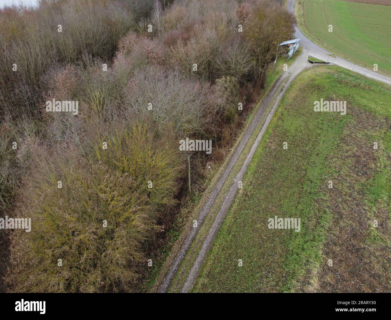 Danube river with beautiful untouched water landscape in Bavaria Stock ...