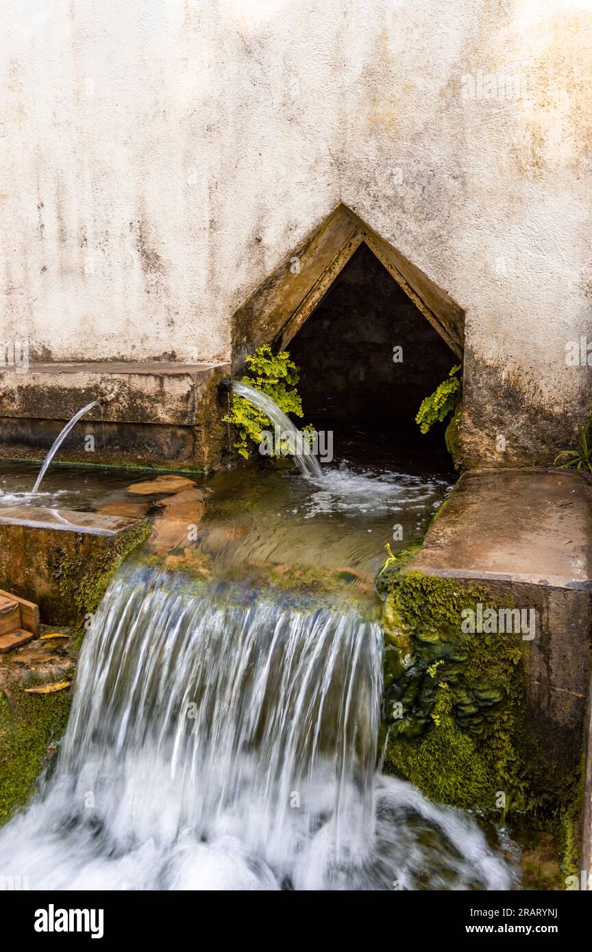 different water flows in a natural spring source Stock Photo - Alamy