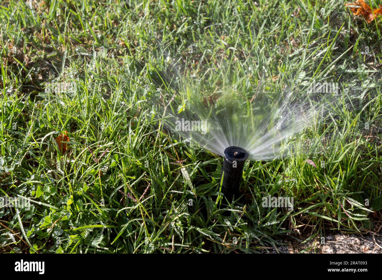 Full irrigation hi-res stock photography and images - Alamy